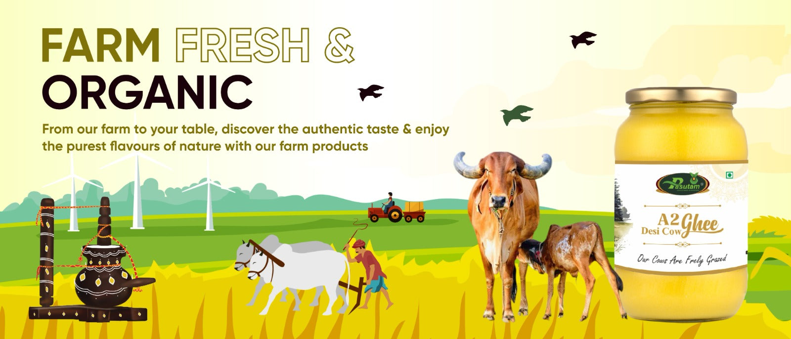 Pasutam Farm is A Best Organic A2 Ghee farm in Haryana